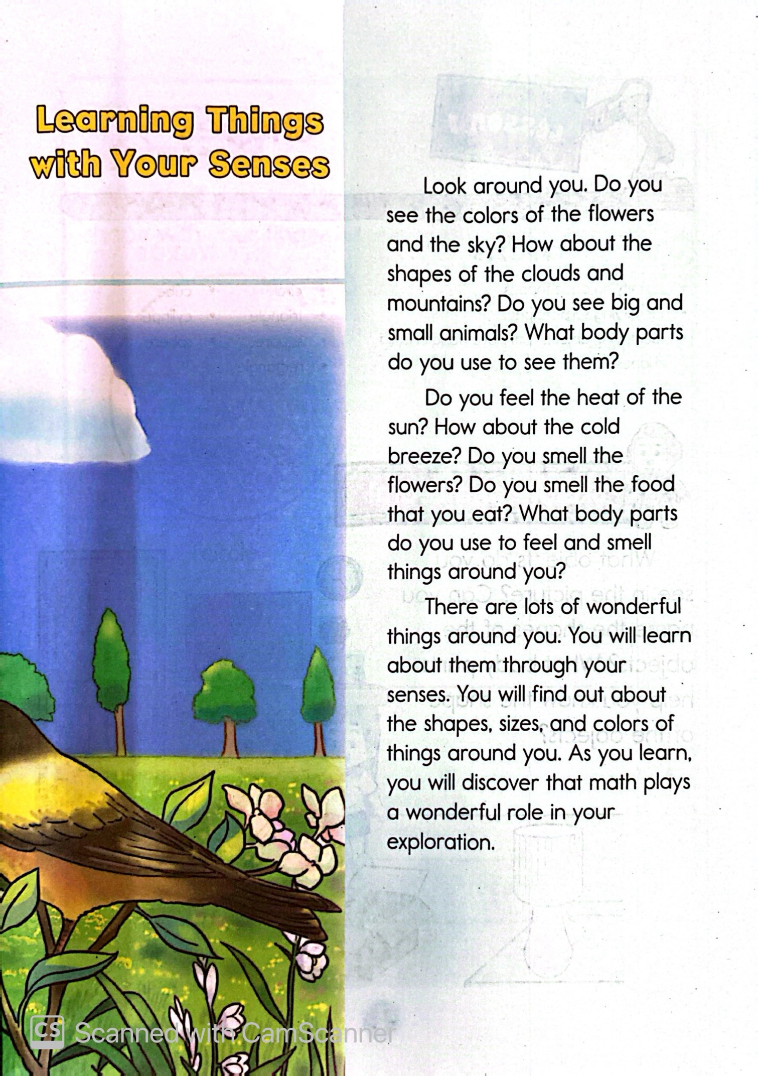 Math World K Set Tb Tm 3rd Ed Learning Plus Ph